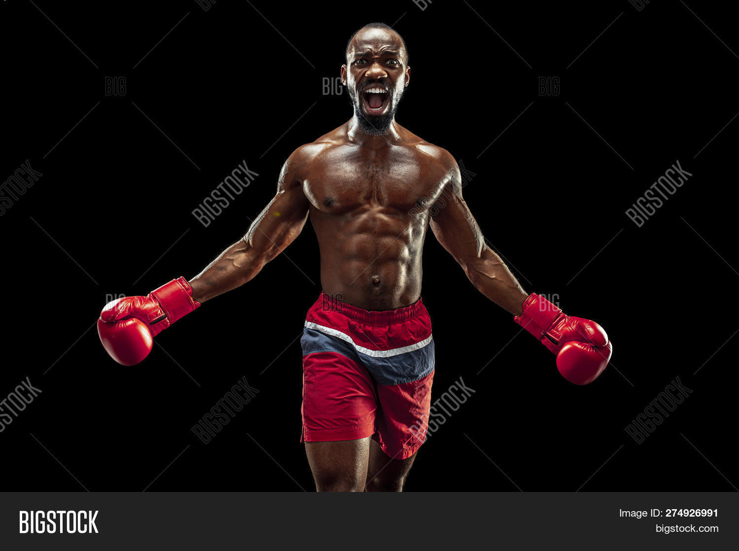 Hands Boxer Over Black Image & Photo (Free Trial) | Bigstock