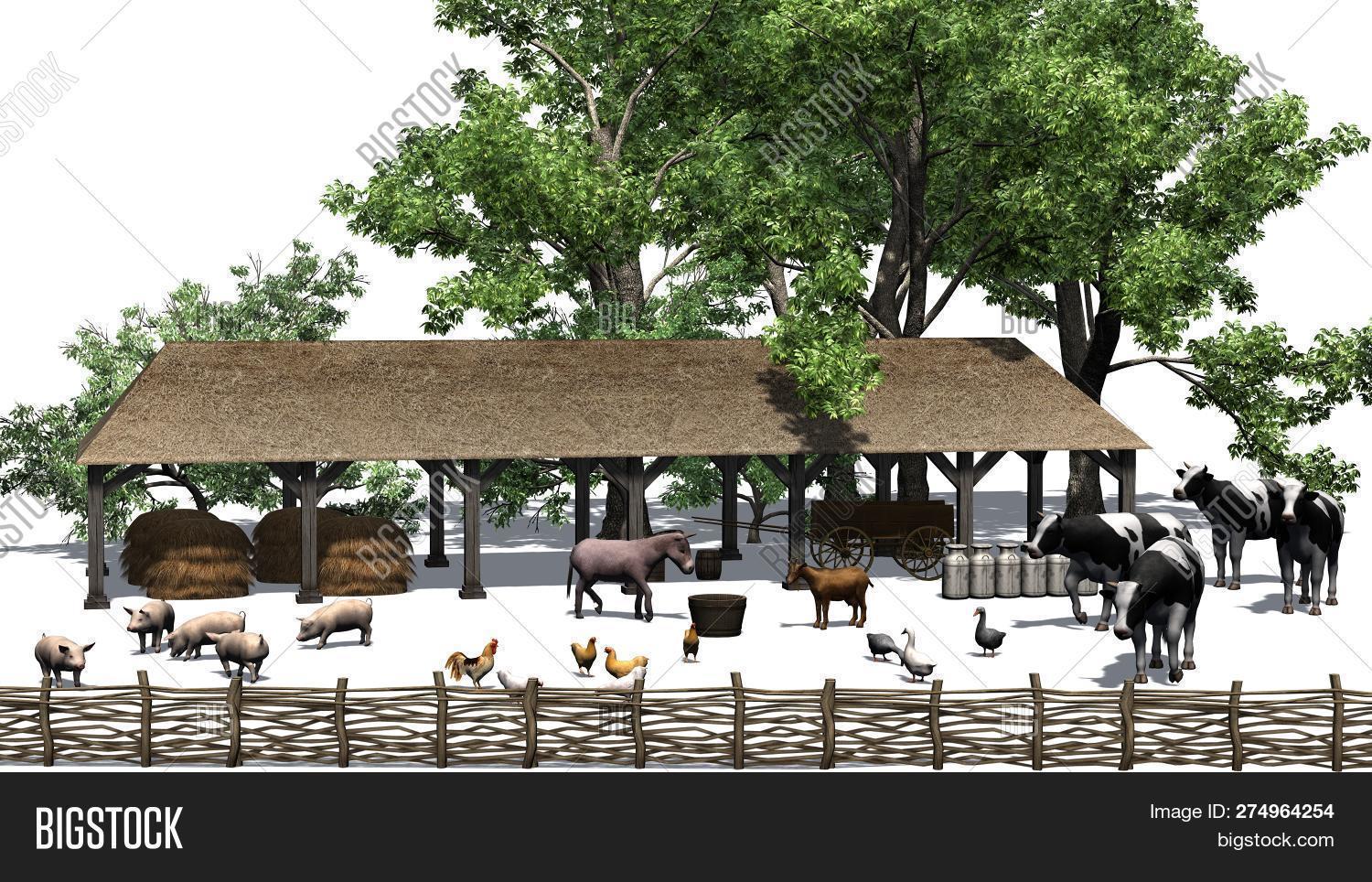 Small Farm Animals Image & Photo (Free Trial) | Bigstock