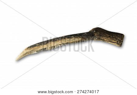 Neolithic Sickle Made Image & Photo (Free Trial) | Bigstock