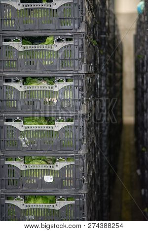Cold Storage Fresh Image & Photo (Free Trial) | Bigstock