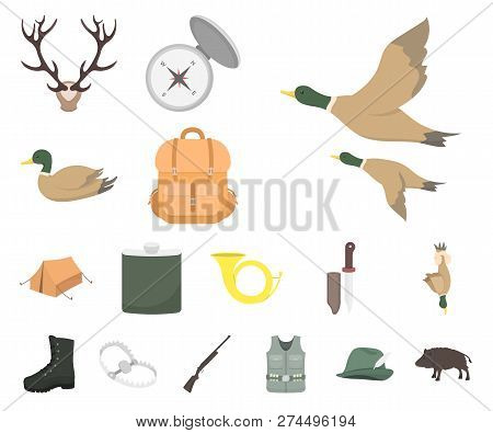 Hunting Trophy Vector & Photo (Free Trial) | Bigstock