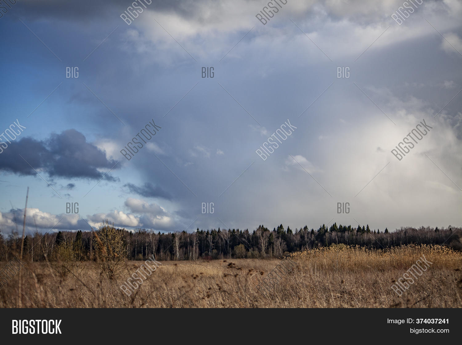 Big Cloud Field. Image & Photo (Free Trial) | Bigstock