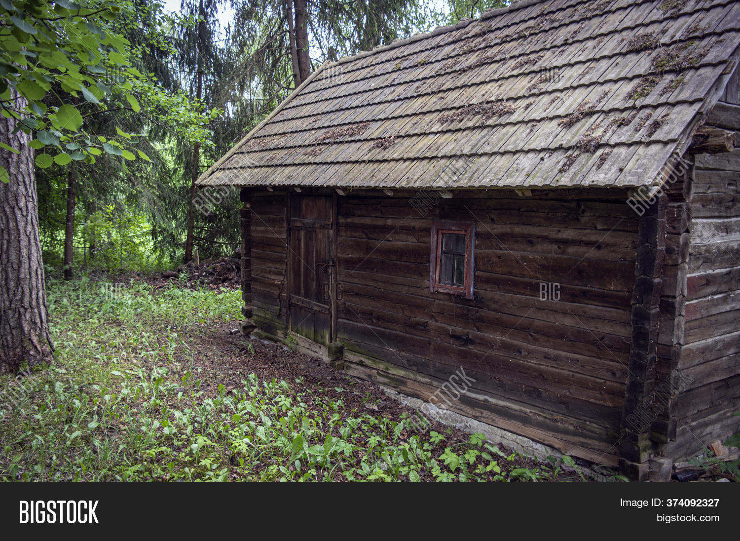 Hut Forest, Old Hut Image & Photo (Free Trial) | Bigstock