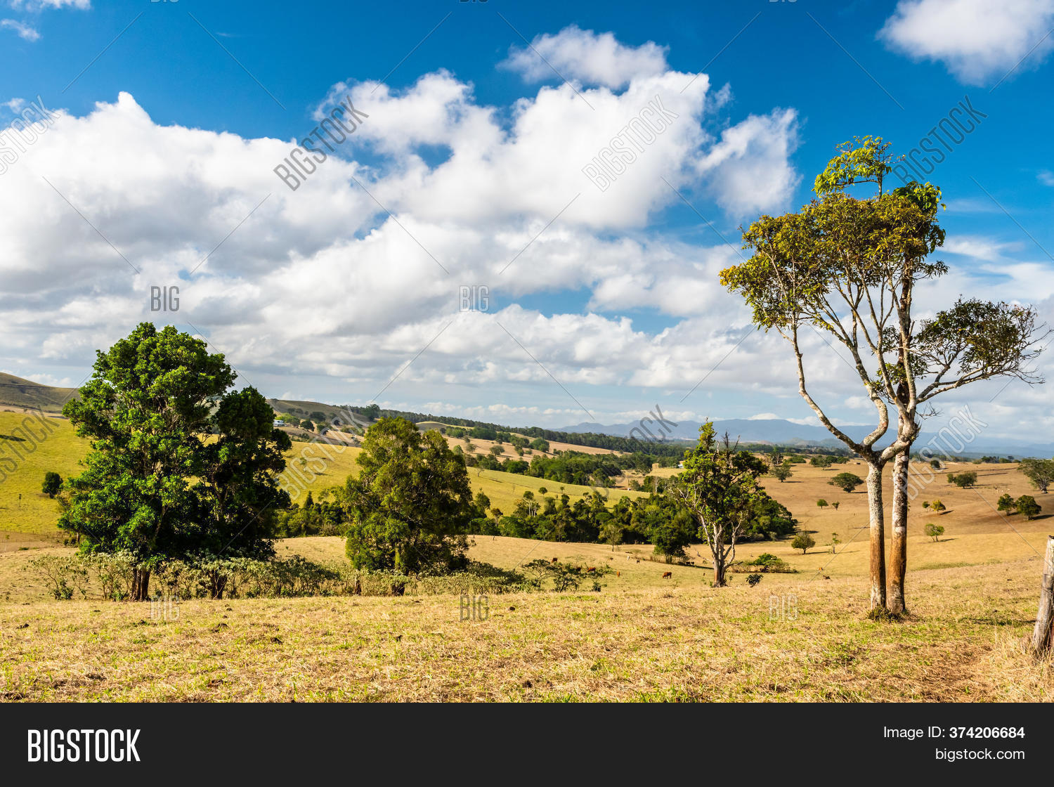 Queensland Countryside Image & Photo (Free Trial) | Bigstock