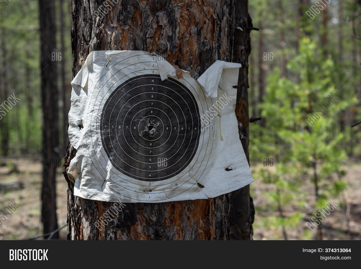 Old Tactical Paper Image & Photo (Free Trial) | Bigstock