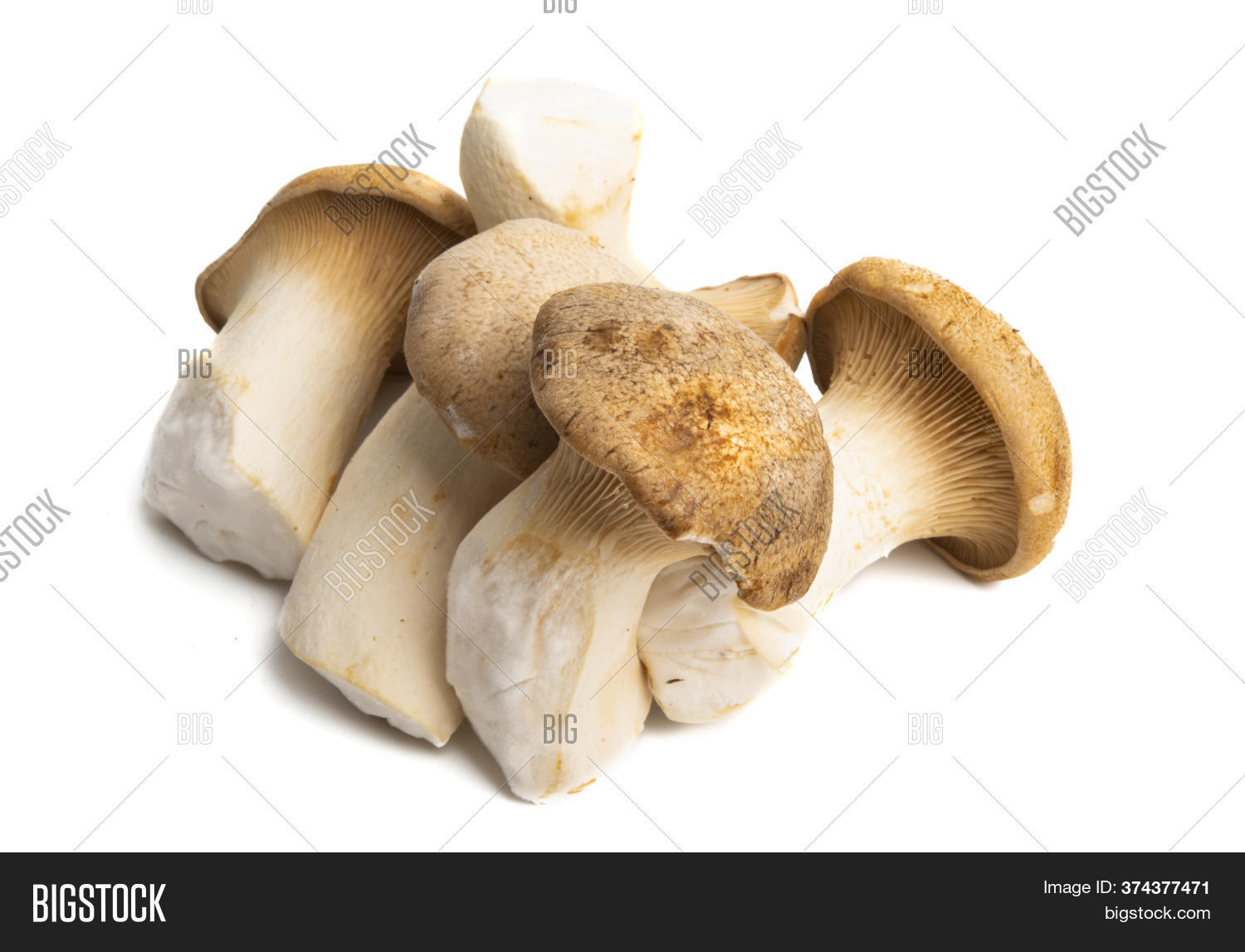 Eringi Mushrooms Image & Photo (Free Trial) | Bigstock