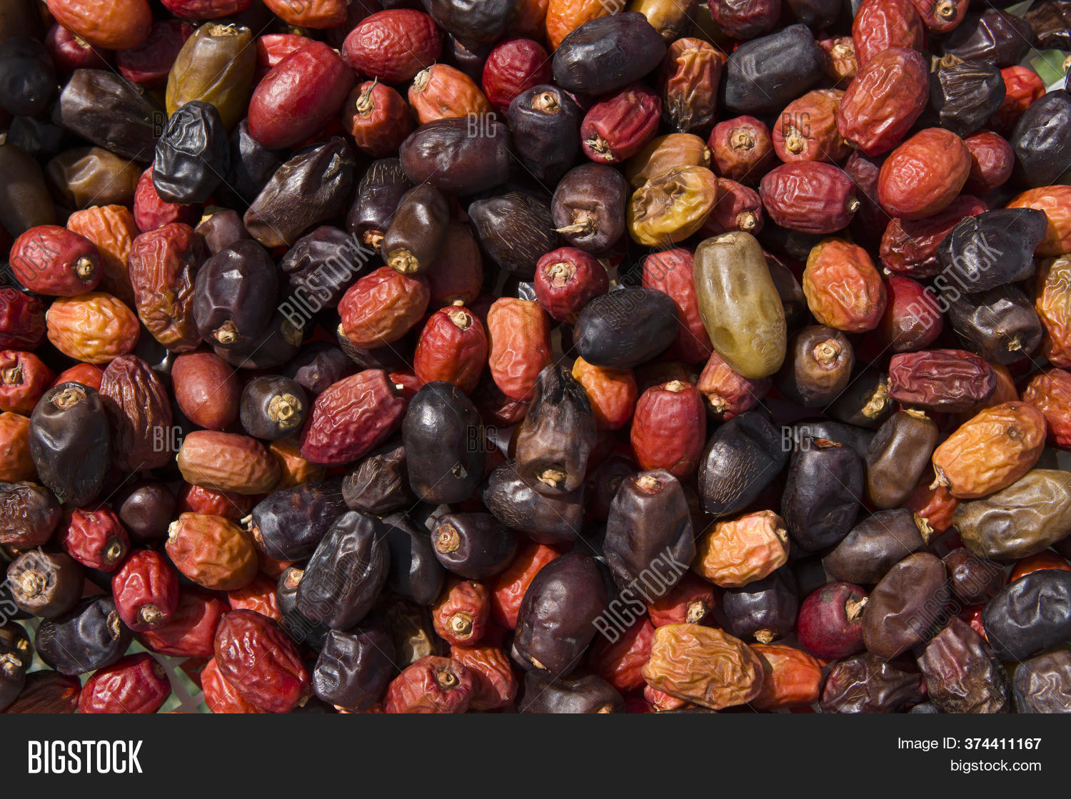 Making Dry Date Palm Image & Photo (Free Trial) | Bigstock