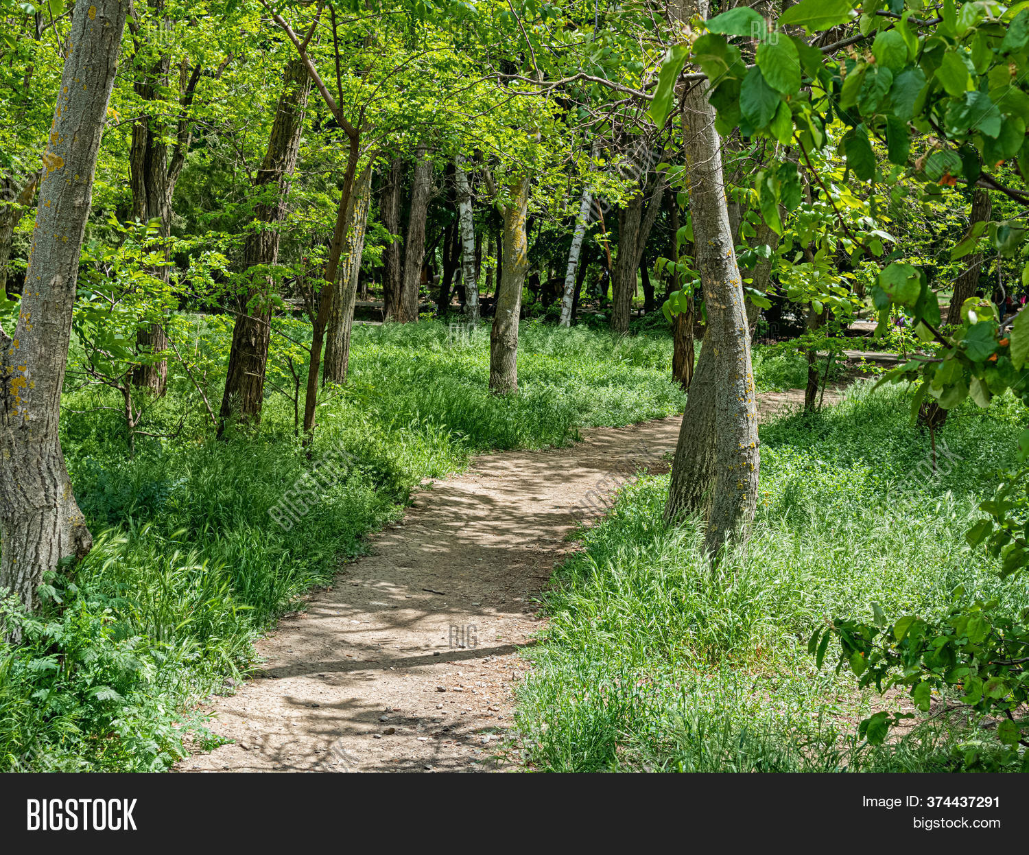 Path Running Park Area Image & Photo (Free Trial) | Bigstock
