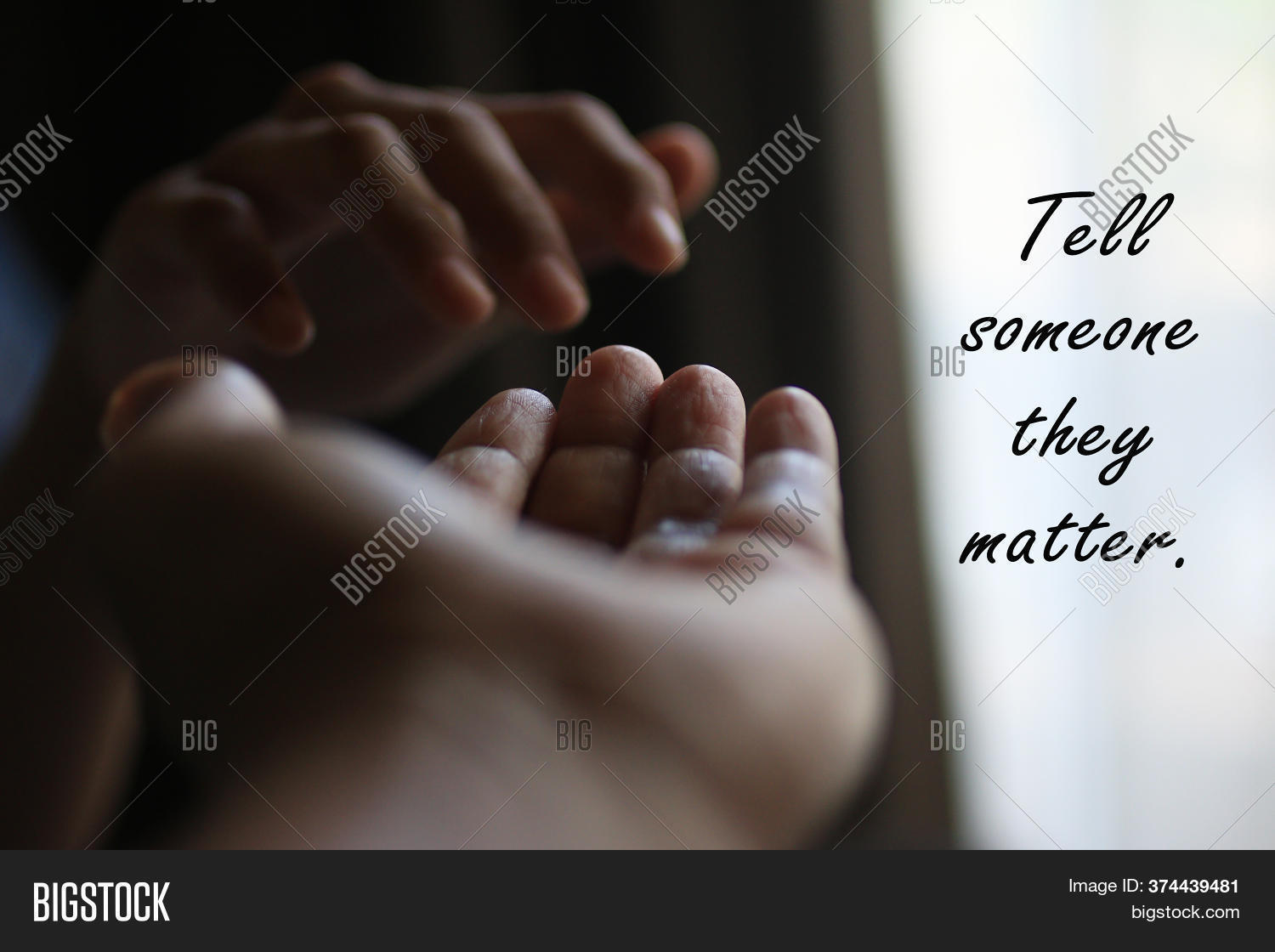Inspirational Quote - Image & Photo (Free Trial) | Bigstock