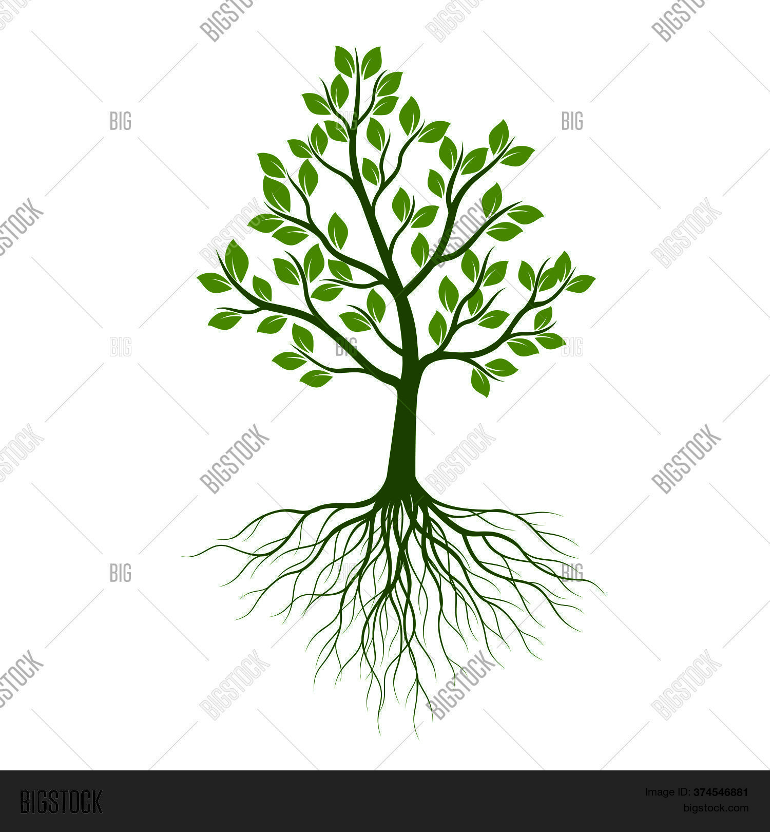 Garden Roots Clip Art