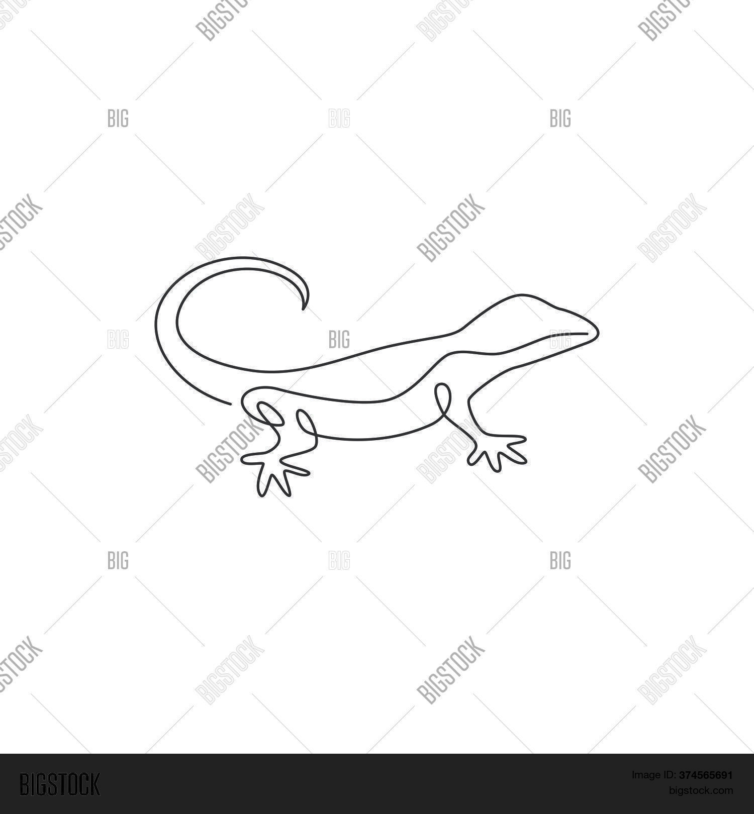 One Continuous Line Vector & Photo (Free Trial) | Bigstock