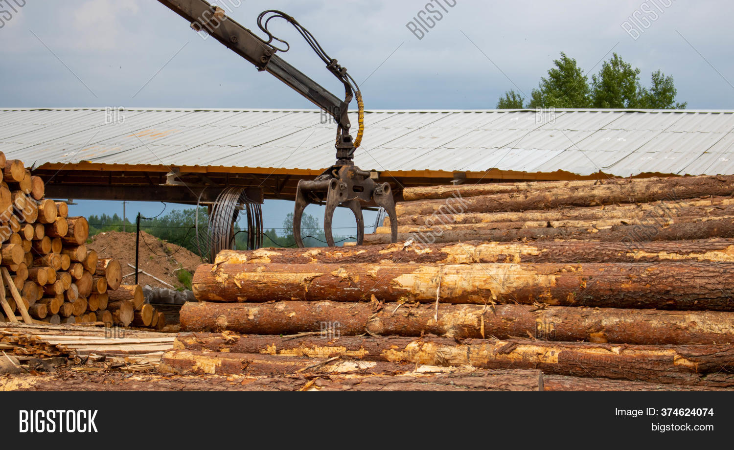 Logging, Sawmill. Image & Photo (Free Trial) | Bigstock