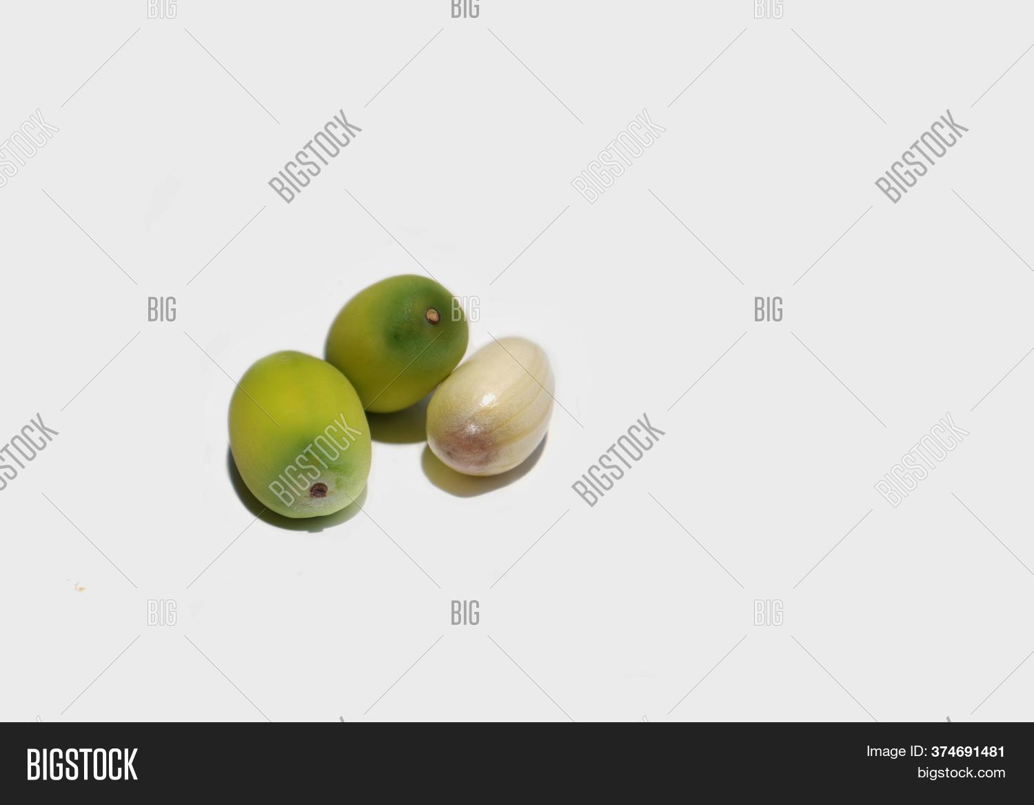 Indian Lotus Seeds Image & Photo (Free Trial) | Bigstock