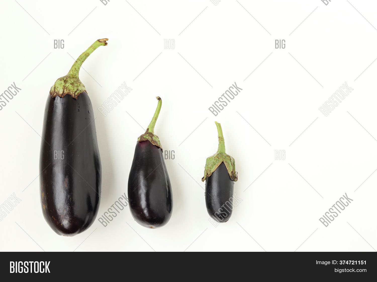 Three Eggplant Large Image & Photo (Free Trial) | Bigstock