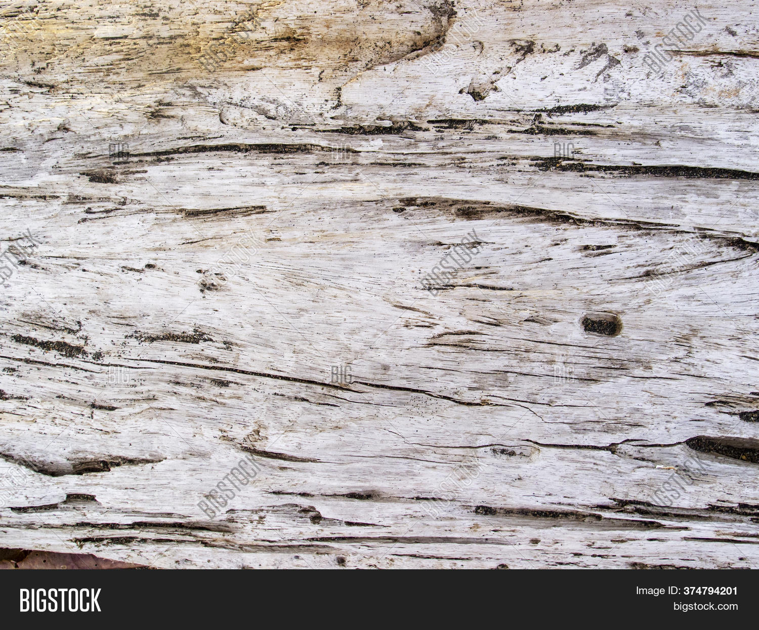 Faded Wooden Texture Image & Photo (Free Trial) | Bigstock