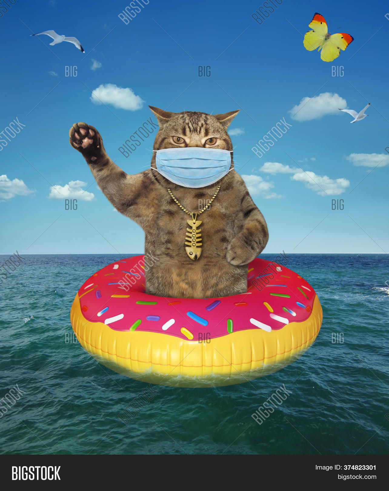 Beige Cat Surgical Image & Photo (Free Trial) | Bigstock