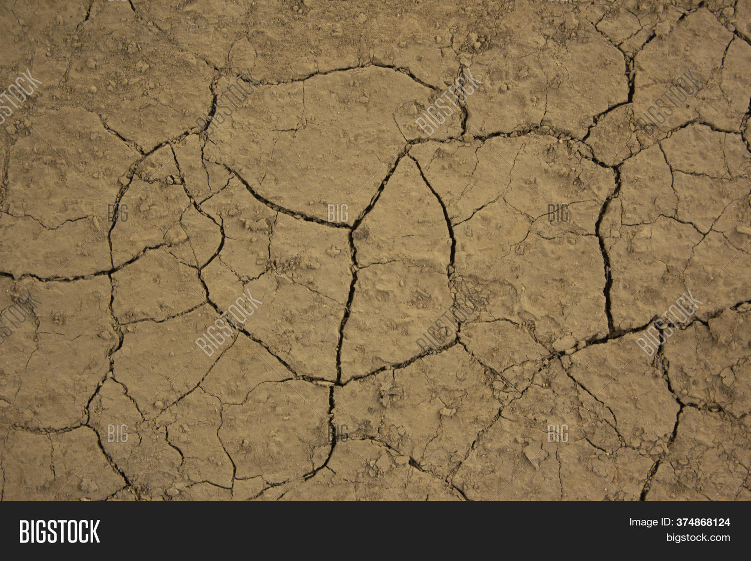 Dry Cracked Earth. Image & Photo (Free Trial) | Bigstock
