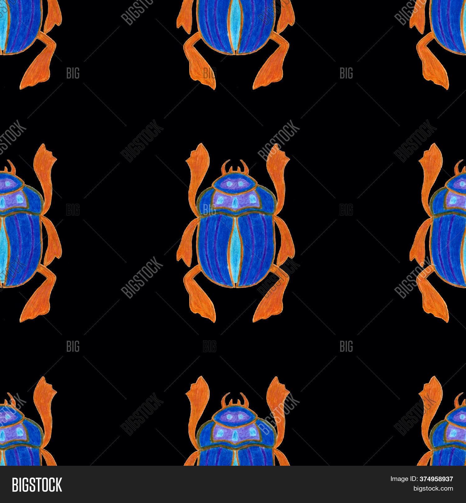 Blue Scarab Isolated Image & Photo (Free Trial) | Bigstock