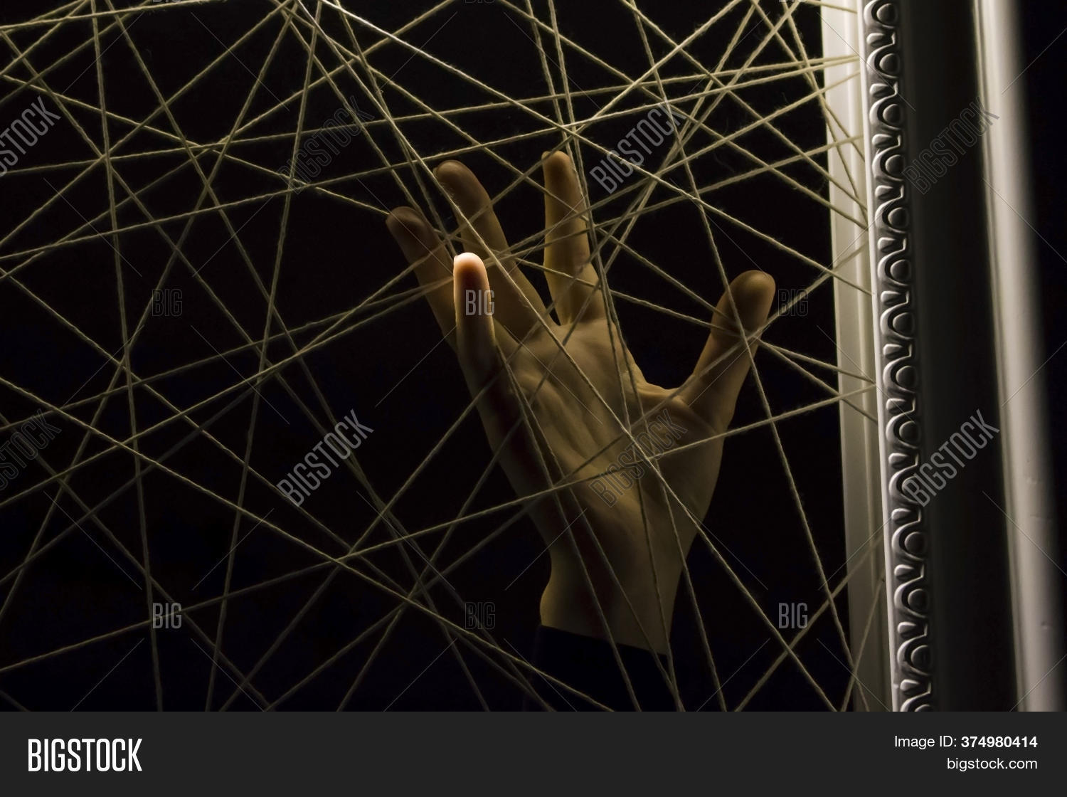 Girl's Hand Drags Image & Photo (Free Trial) | Bigstock