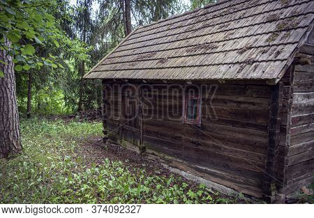Hut Forest, Old Hut Image & Photo (Free Trial) | Bigstock