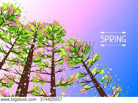 Spring Forest Vector & Photo (Free Trial) | Bigstock