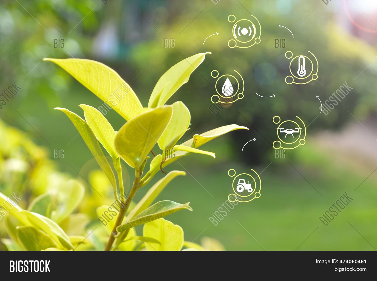Science Biology Image & Photo (Free Trial) | Bigstock