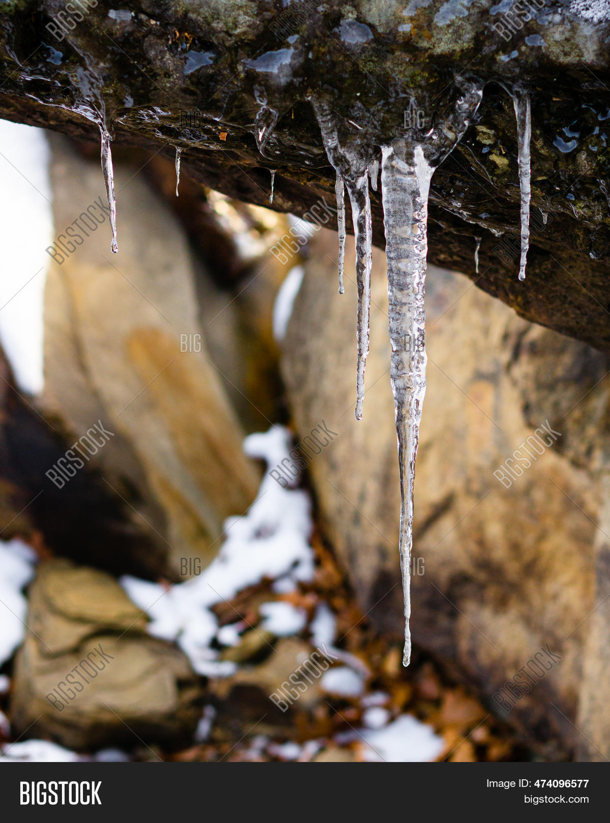 Detail Close Shot Image & Photo (Free Trial) | Bigstock