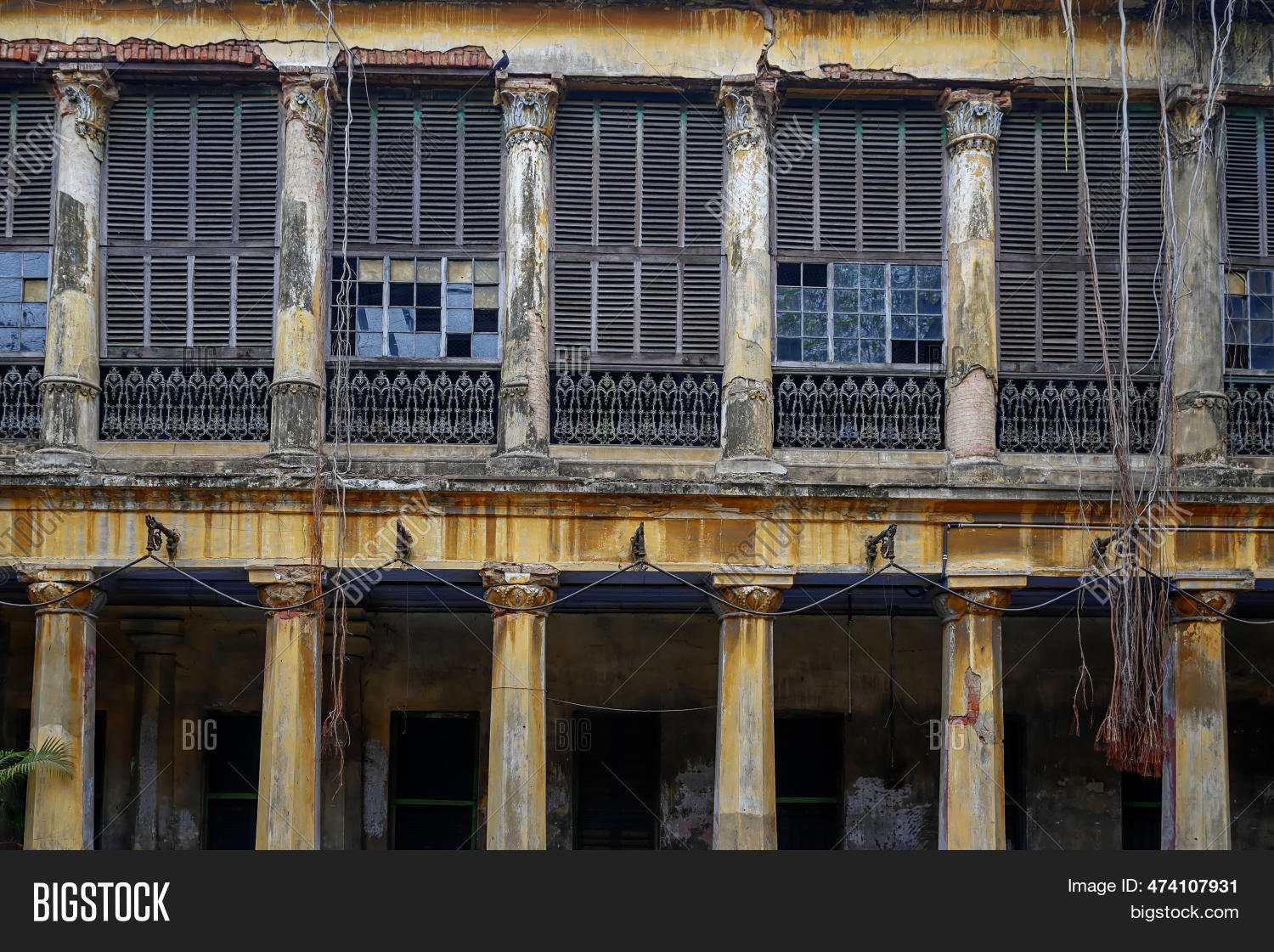View Basu Bati. Basu Image & Photo (Free Trial) | Bigstock