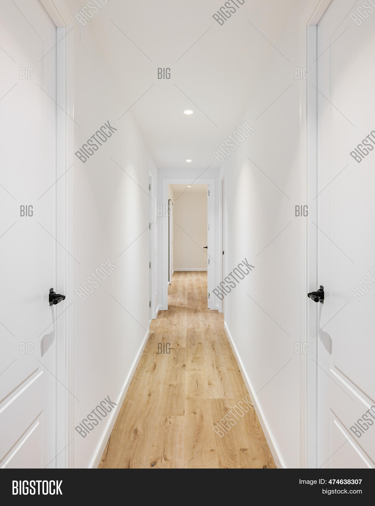 Long Narrow Straight Image & Photo (Free Trial) | Bigstock