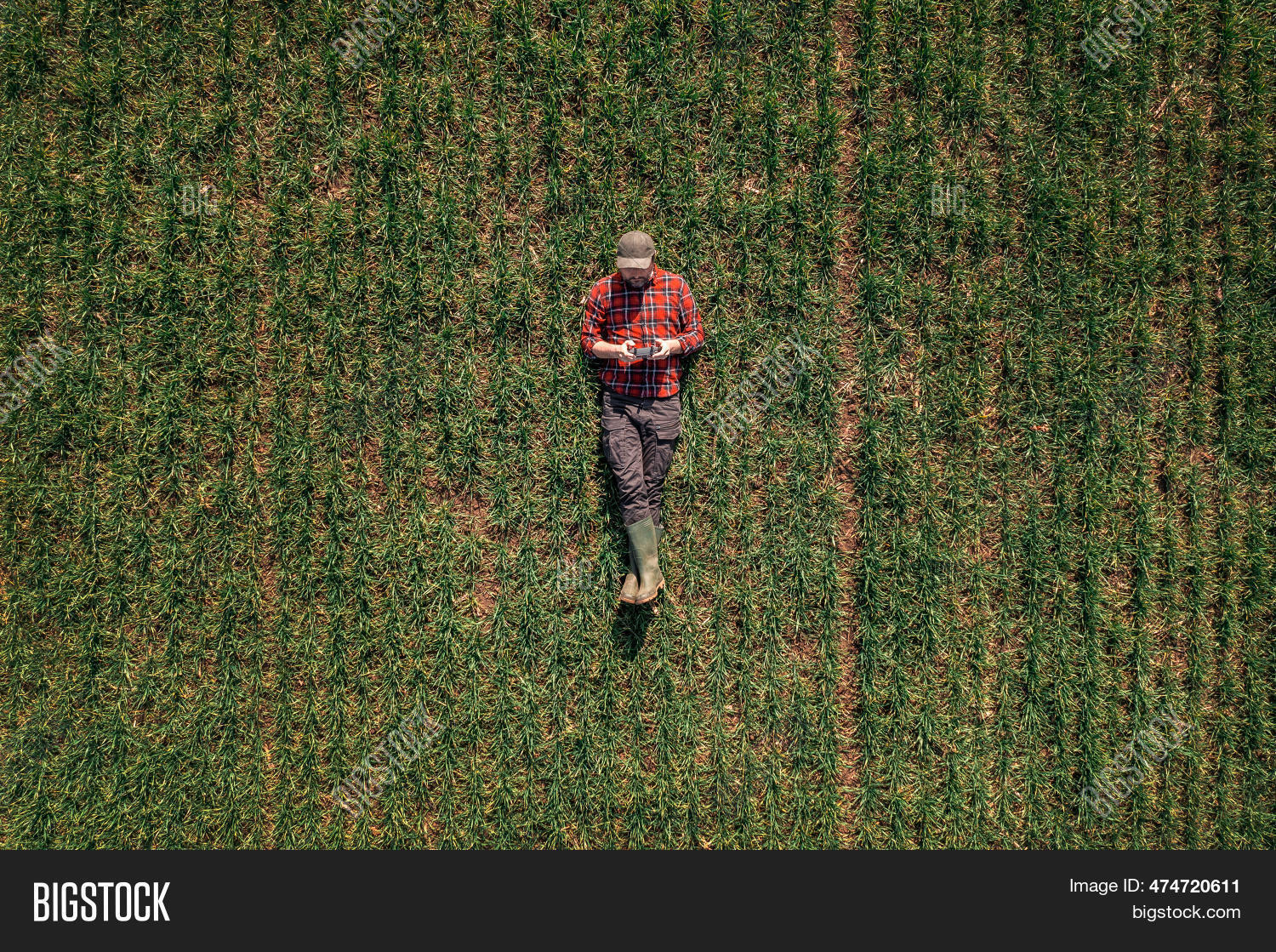Farmer Laying On Image & Photo (Free Trial) | Bigstock