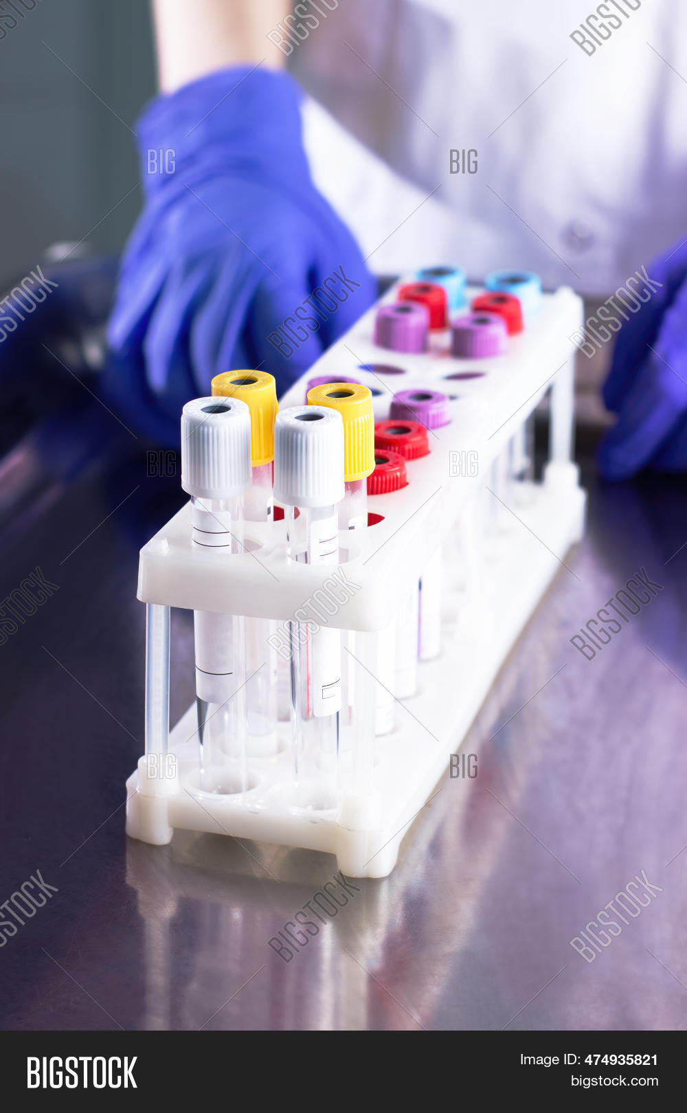 Hands Laboratory Image & Photo (Free Trial) | Bigstock