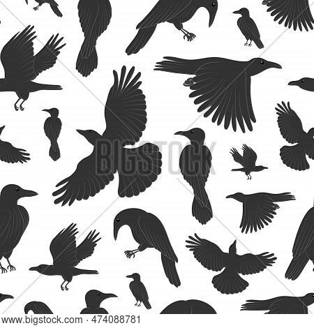 Raven Flying Images, Illustrations & Vectors (Free) - Bigstock