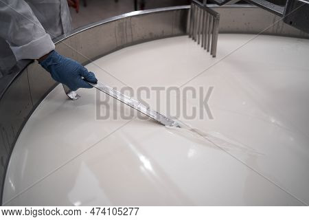 Cheese Maker Testing Image & Photo (Free Trial) | Bigstock