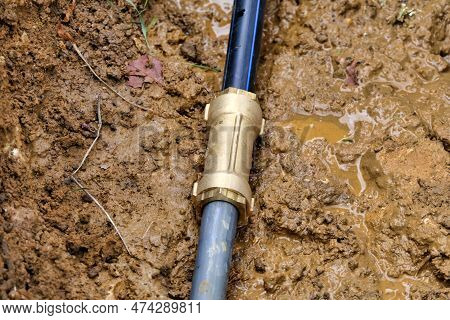 ภาพและภาพถ่าย (ทดลองใช้ฟรี) | Bigstock