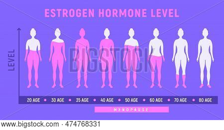 Estrogen Menopause Vector & Photo (Free Trial) | Bigstock