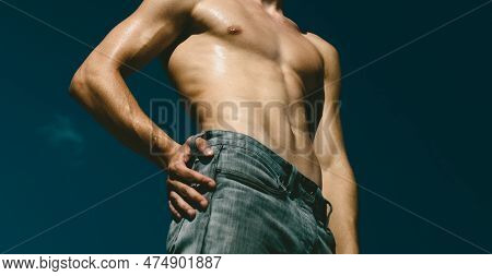Sexy Male Body Torso. Image & Photo (Free Trial) | Bigstock