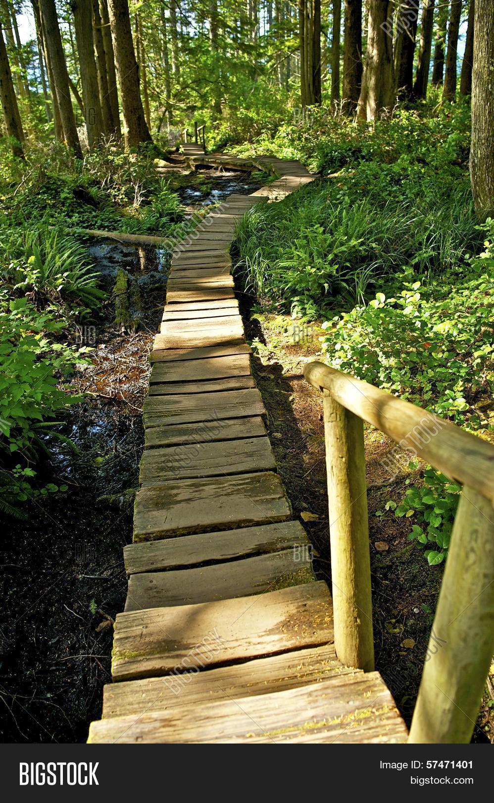 Wooden Pathway Trail Image & Photo (Free Trial) | Bigstock