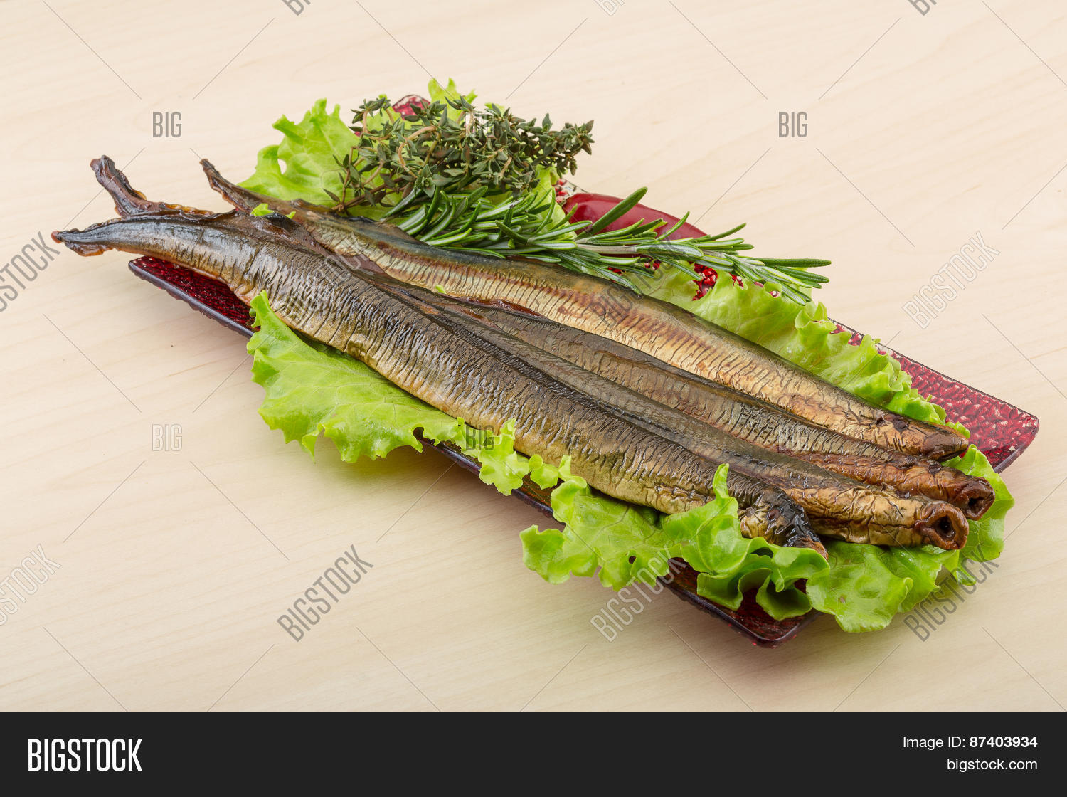 Lamprey Image & Photo (Free Trial) | Bigstock