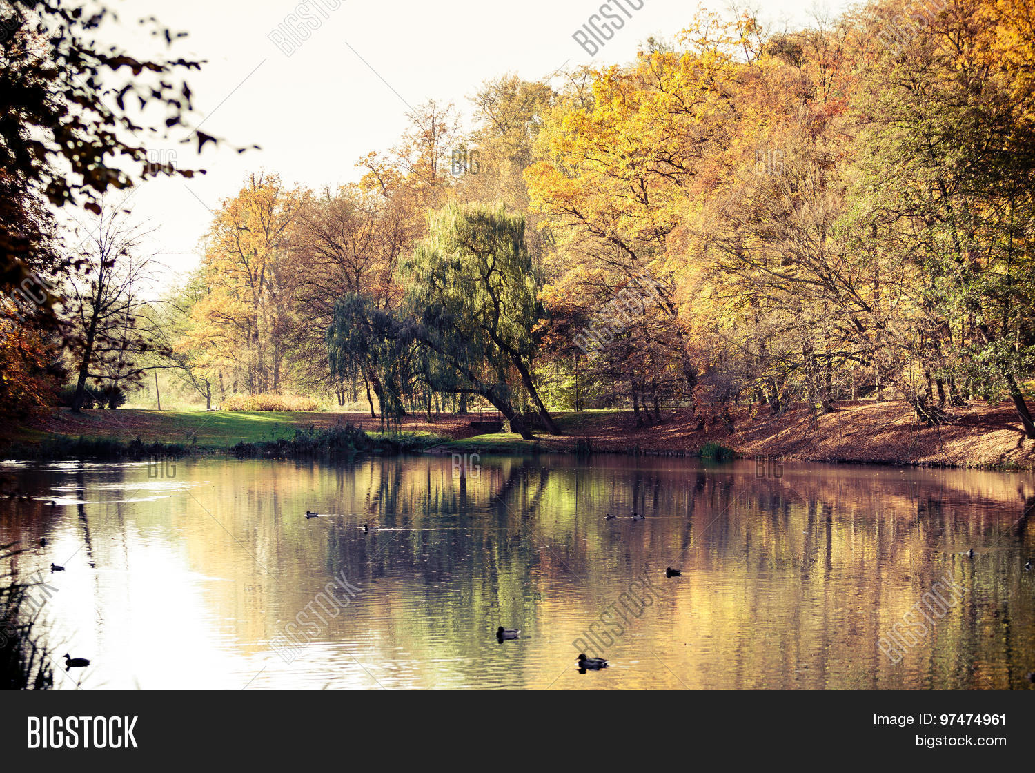 Autumn Park Pond. Fall Image & Photo (Free Trial) | Bigstock