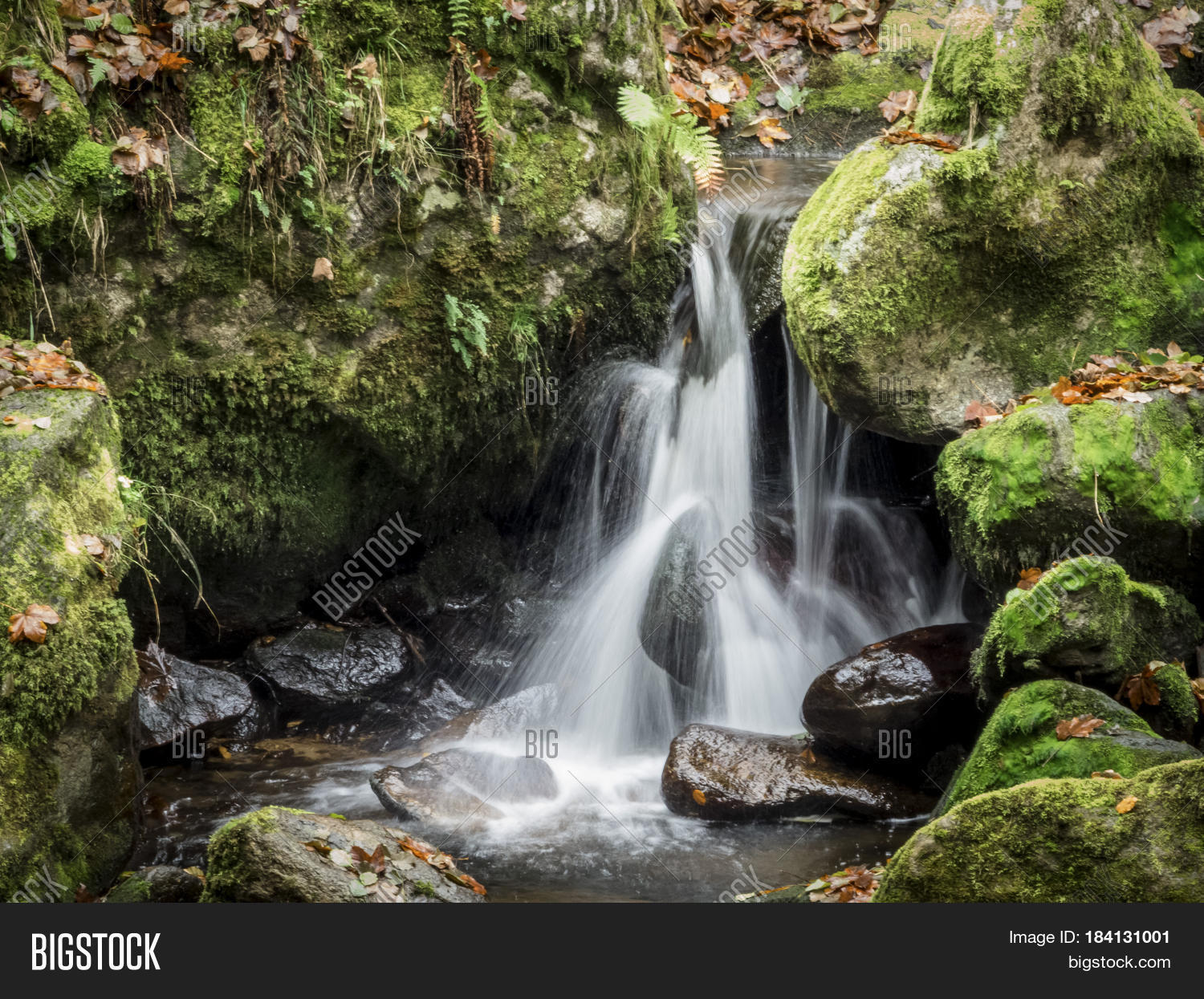 Stream Running Water Image & Photo (Free Trial) | Bigstock