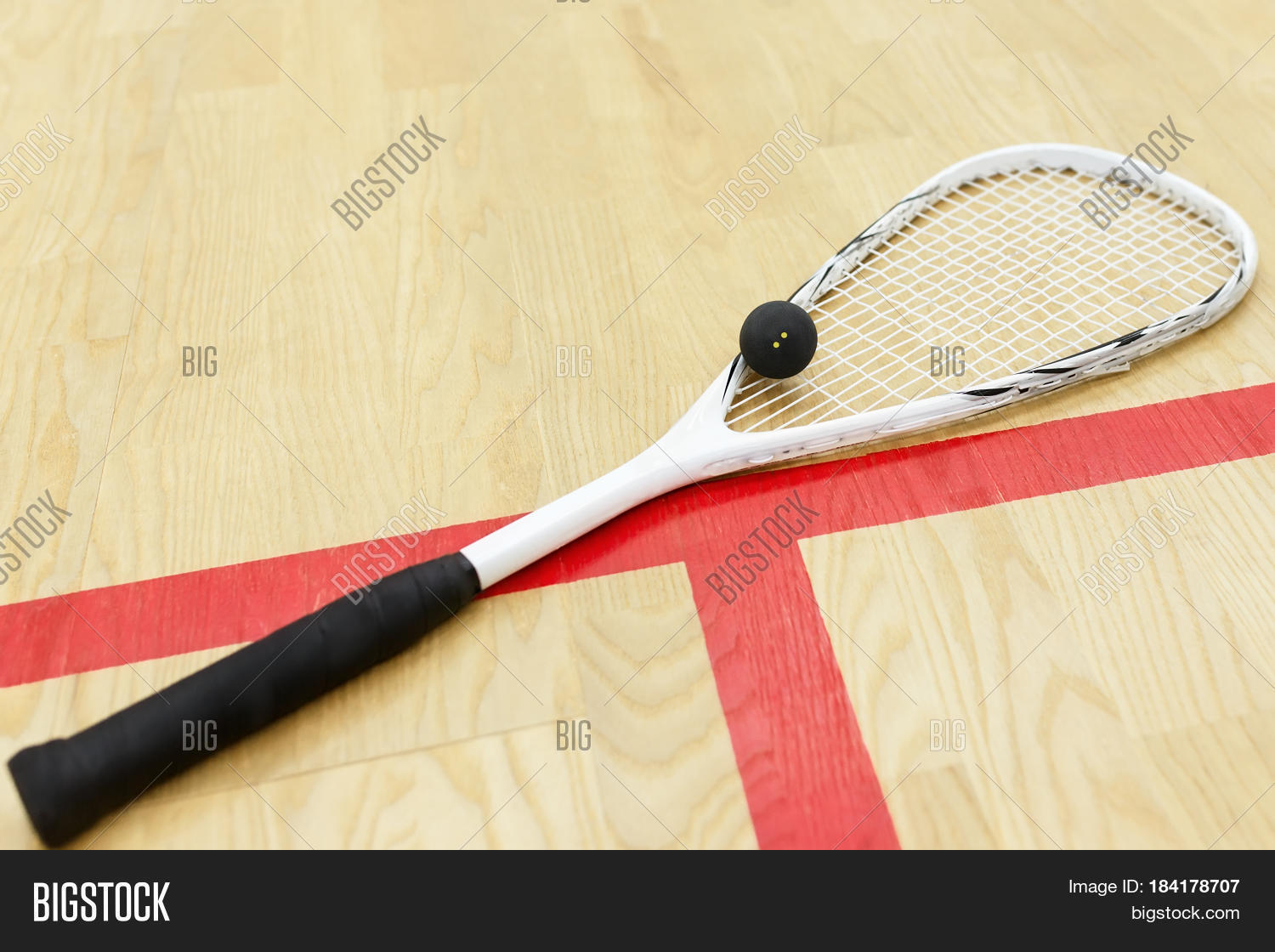 White Squash Racket Image & Photo (Free Trial) | Bigstock