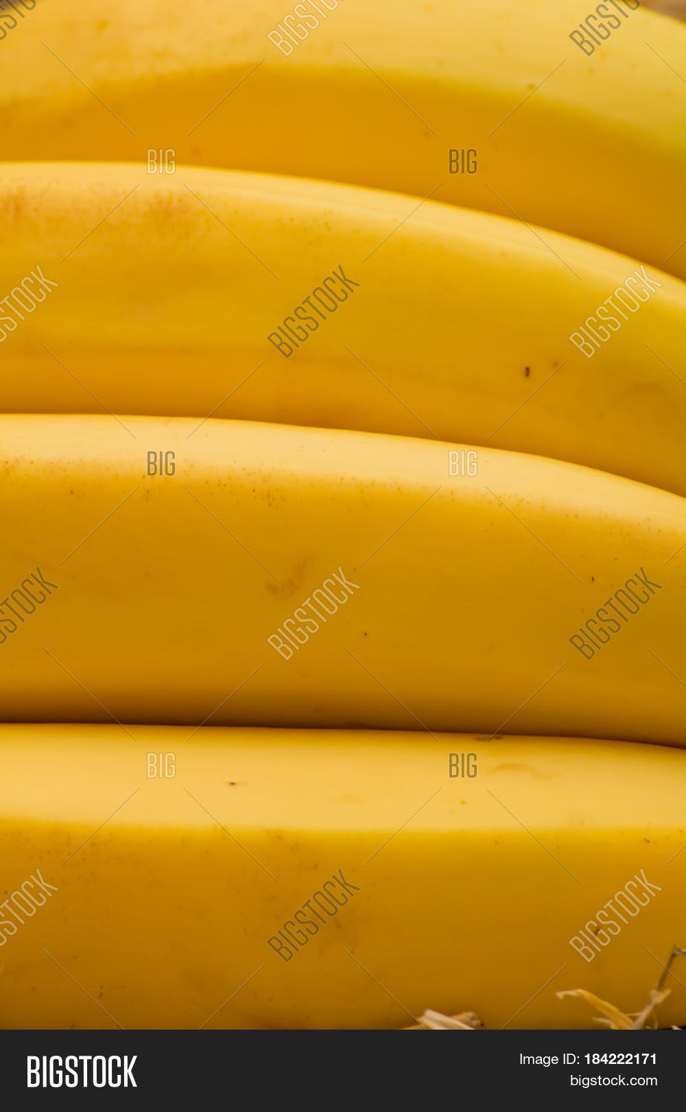 Organic Bananas (latin Image & Photo (Free Trial) | Bigstock