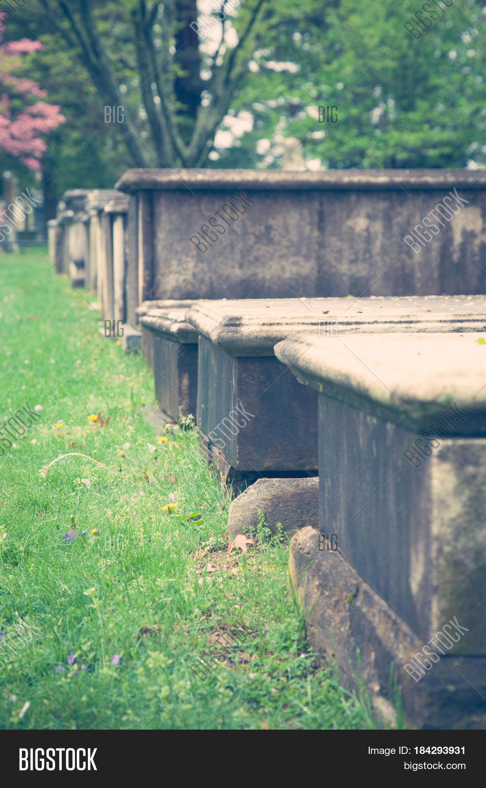 Above Ground Crypts Image & Photo (Free Trial) | Bigstock
