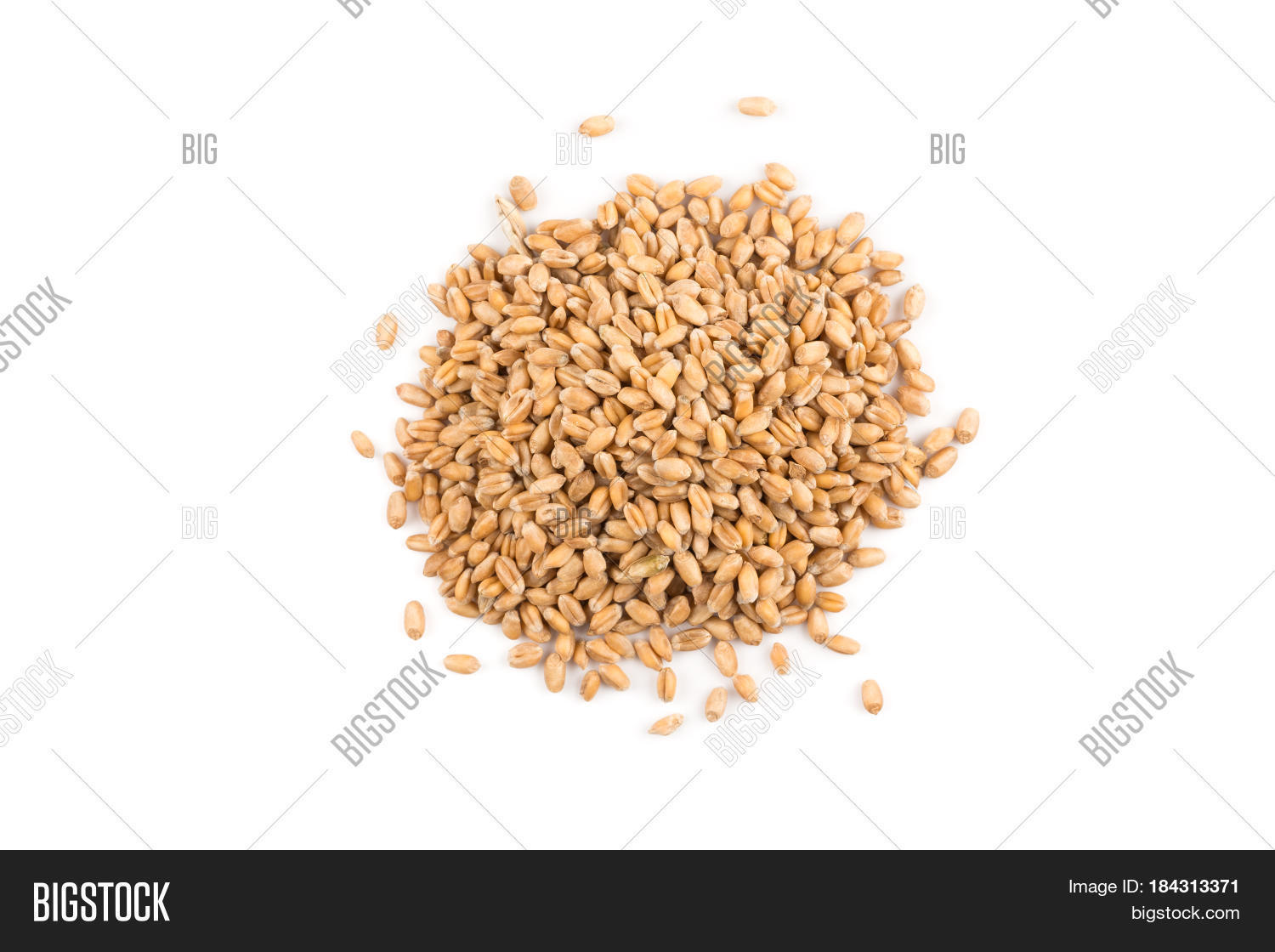Wheat Grain On White Image & Photo (Free Trial) | Bigstock