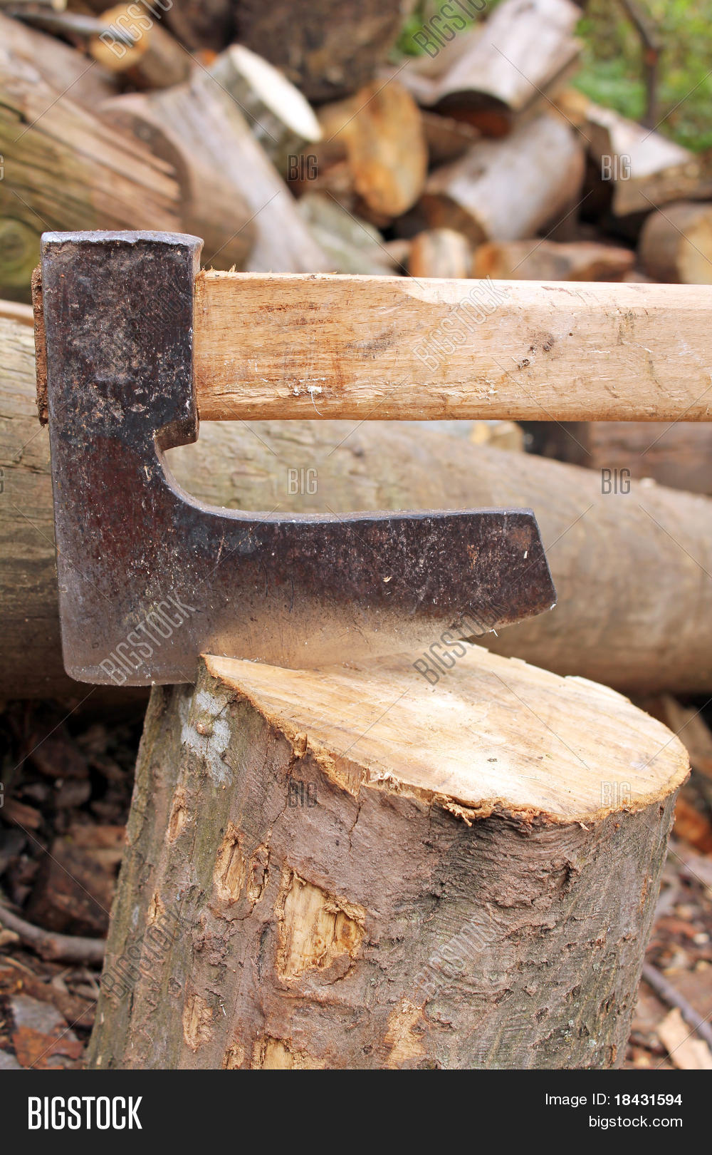 Axe Stump Image & Photo (Free Trial) | Bigstock