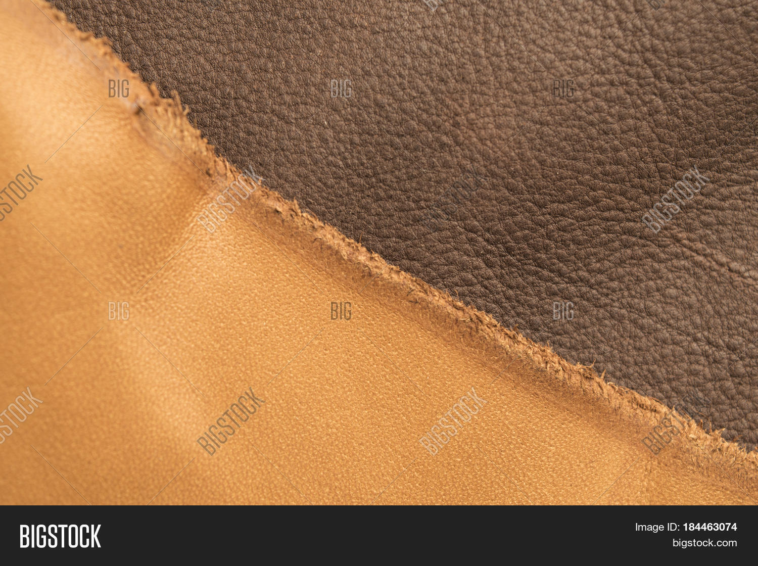 Two Natural Leather Image & Photo (Free Trial) | Bigstock