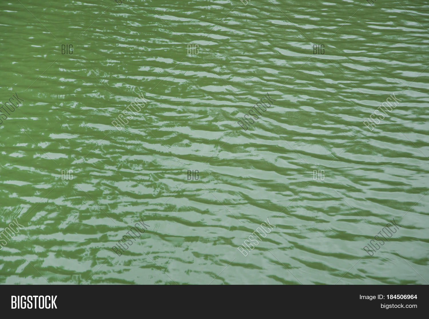 Light Green Lake Water Image & Photo (Free Trial) | Bigstock