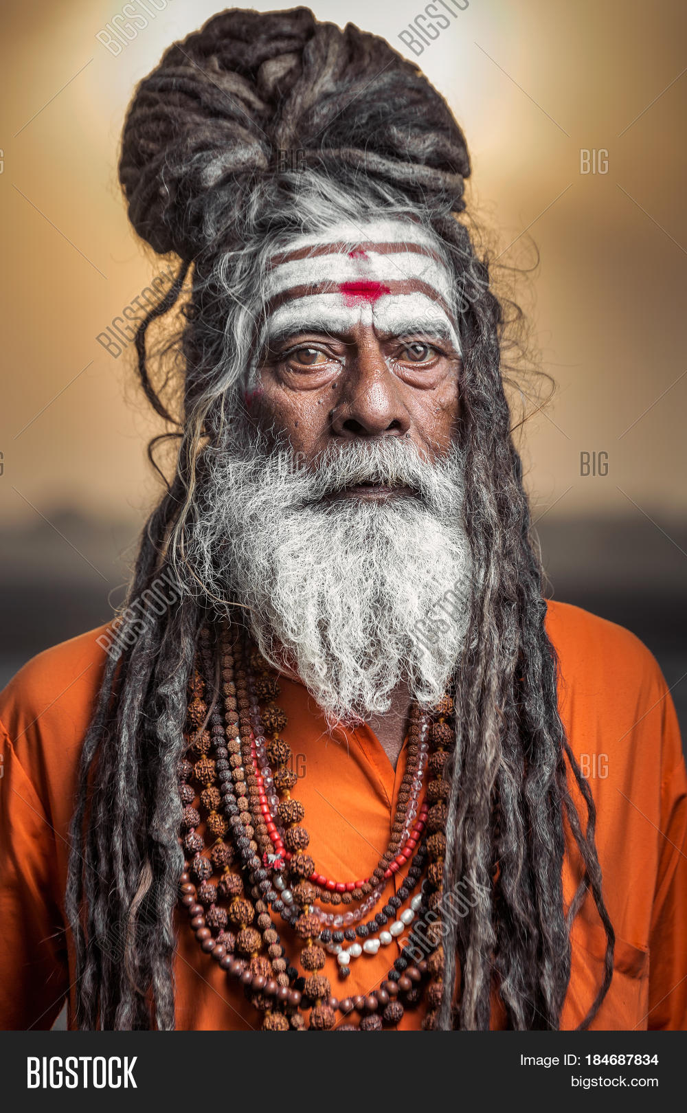 Portrait Sadhu Baba Image & Photo (Free Trial) | Bigstock
