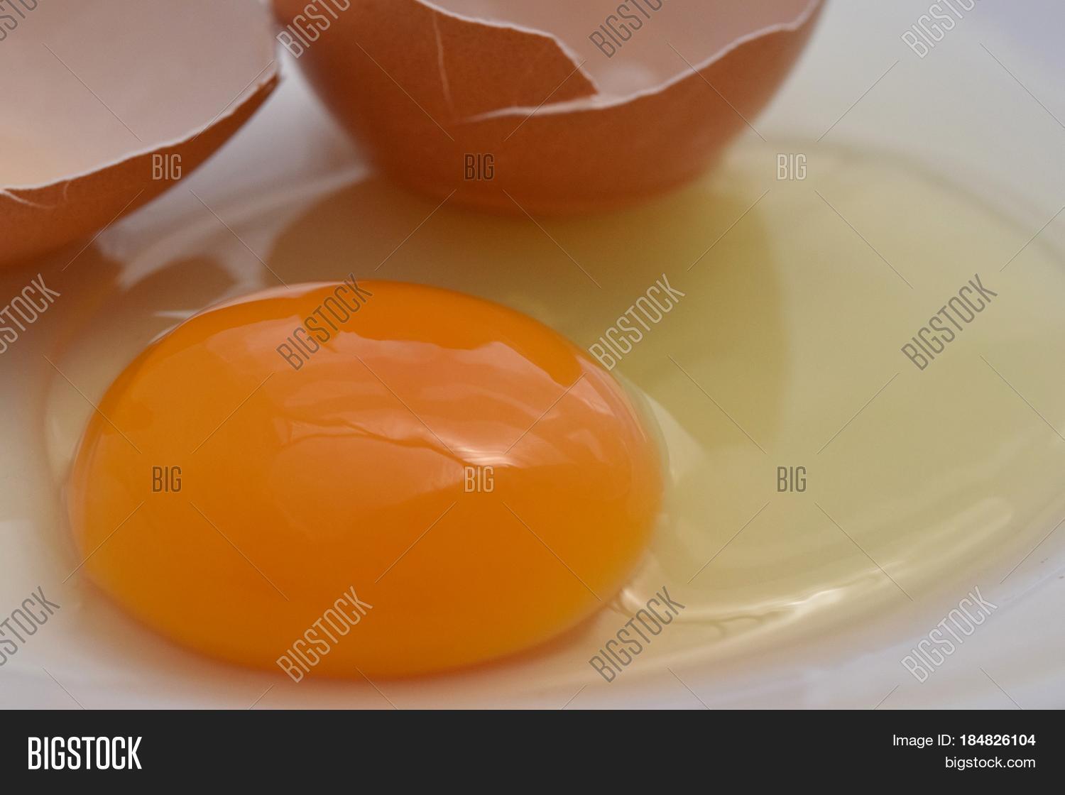 Fresh Chicken Egg Image & Photo (Free Trial) | Bigstock