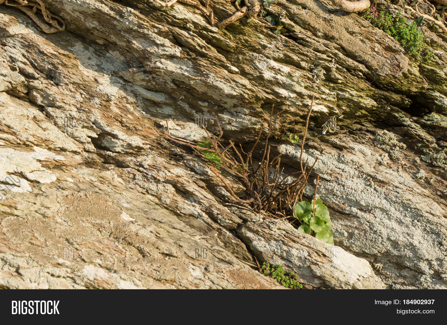 Close Cliff Rocks Image & Photo (Free Trial) | Bigstock